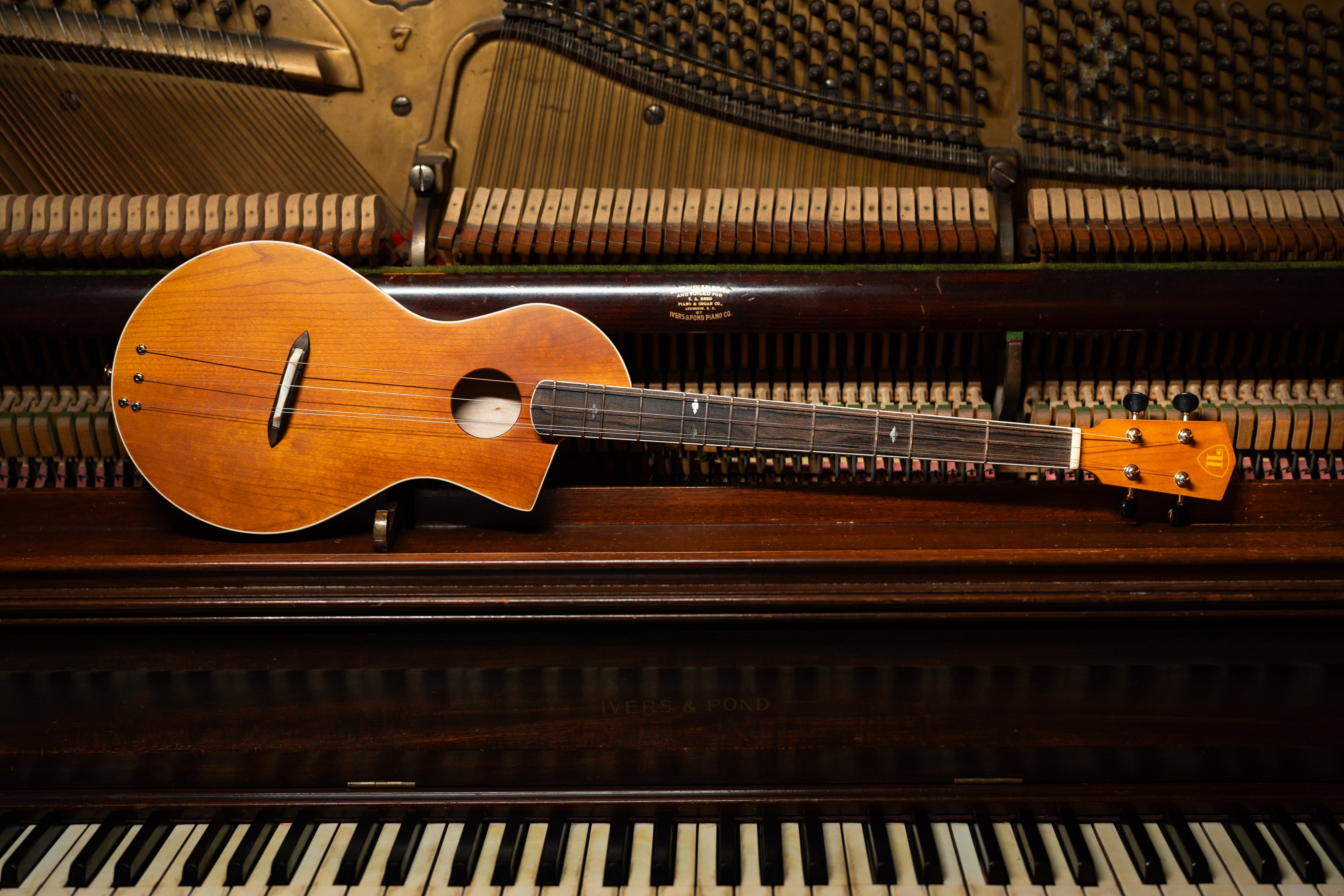 “The Cumberland” River Dulcimer (Preorder) | Inglewood Instruments